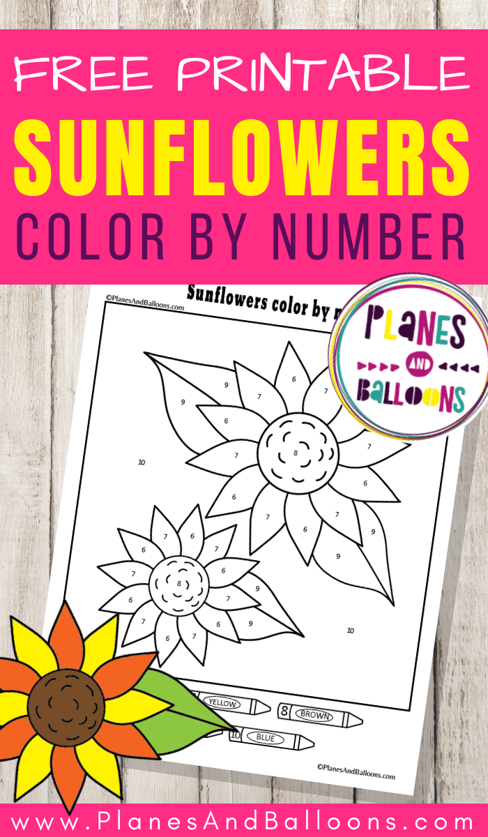 Easy sunflower color by number for kids FREE printable PDF for summer